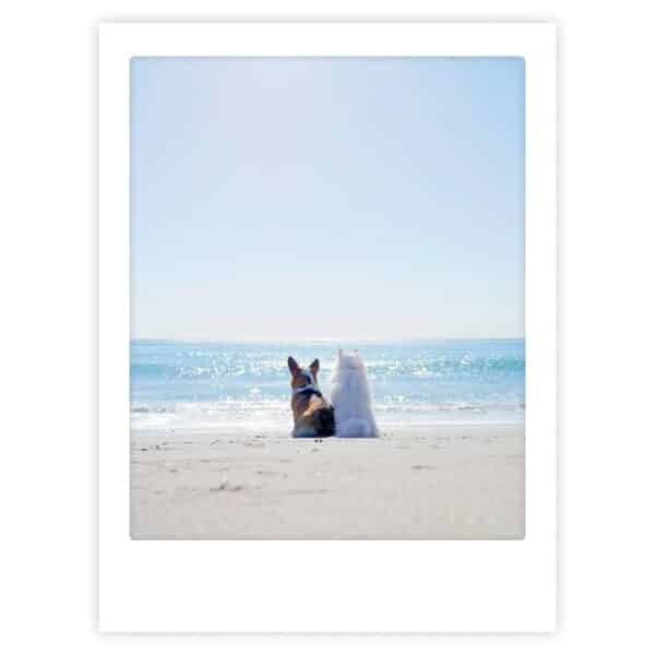 Art Poster beach buds 30x40 cm